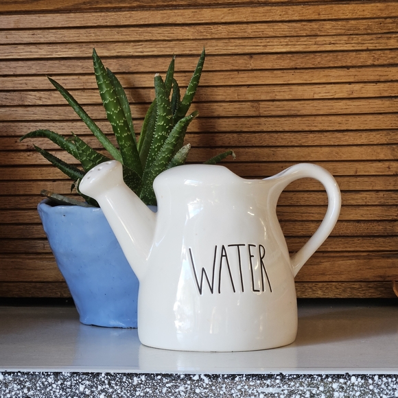 Rae Dunn | Accents | Rae Dunn White Ceramic Watering Can Water | Poshmark